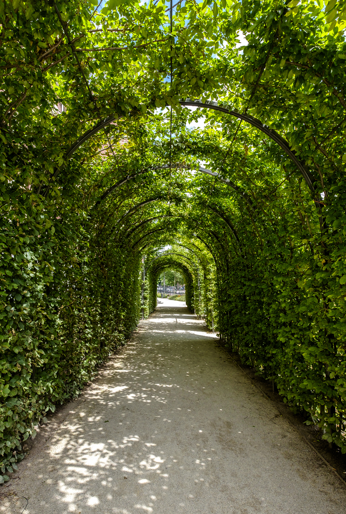 Les conseils d'un paysagiste pour installer une voûte végétale