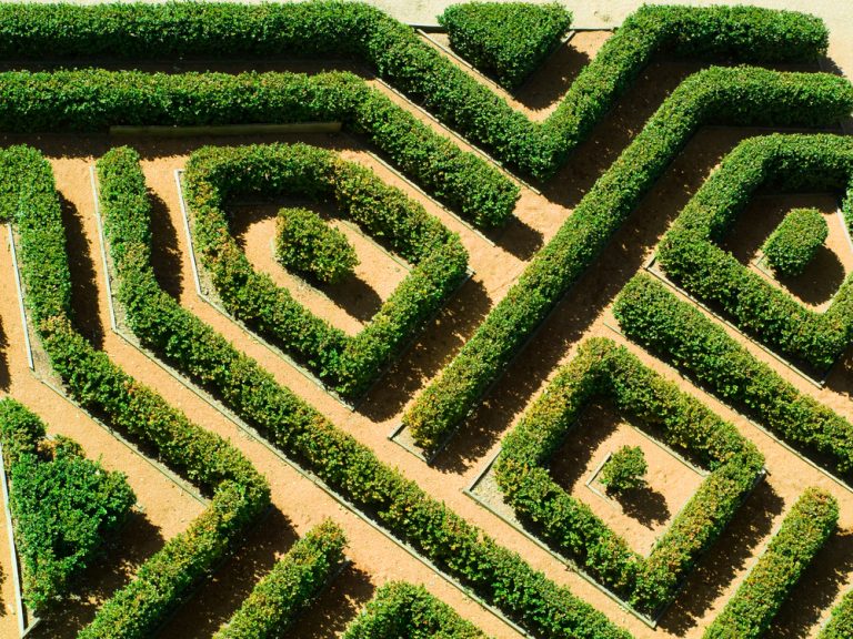 Préréfez la construction d'un labyrinthe végétal par un paysagiste